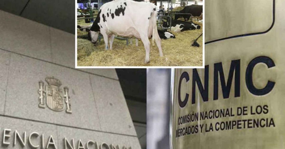 La fijación de precios de la Audiencia Nacional pone en riesgo las ...