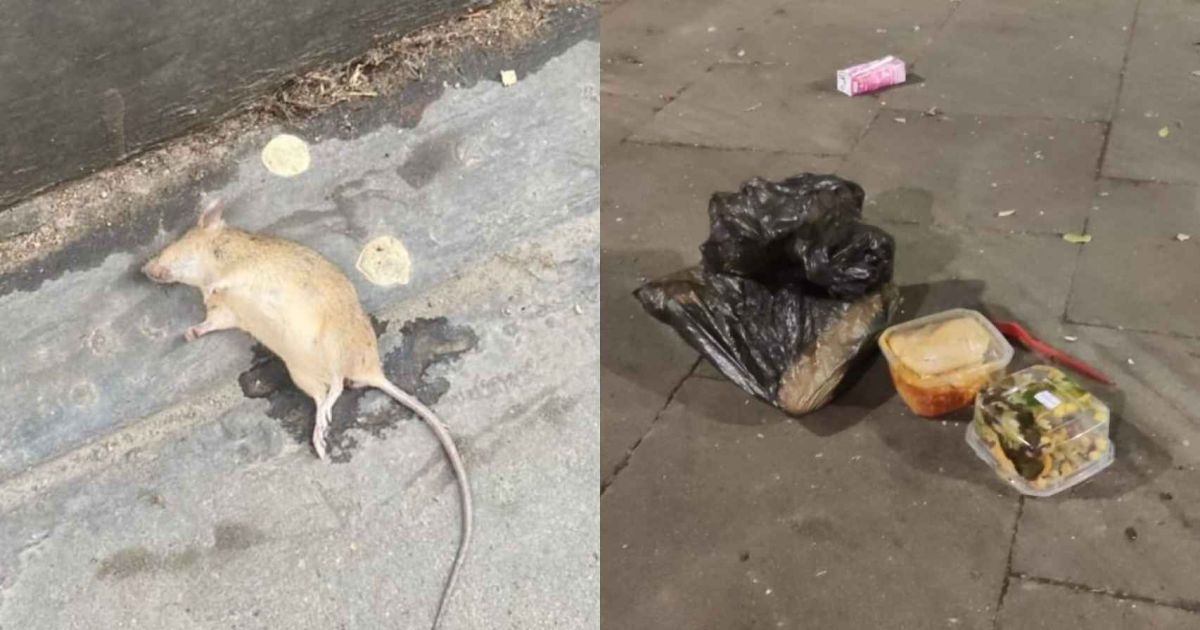 Más problemas en el Raval: los restos de comida de los incívicos atraen ...