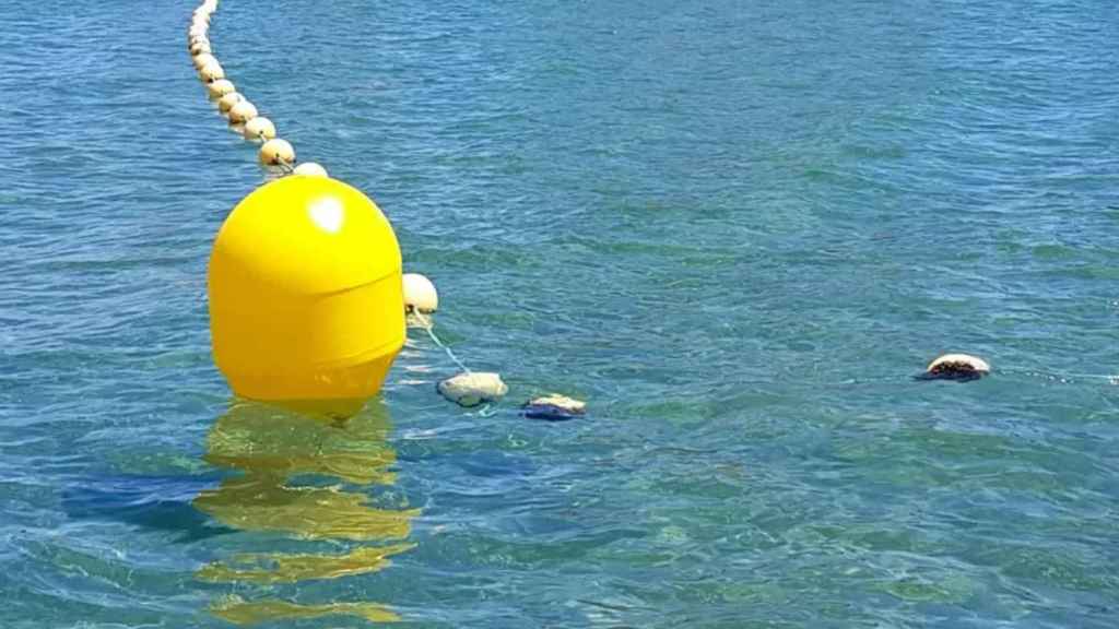 La sorprendente novedad de las playas de Barcelona este verano: boyas ...